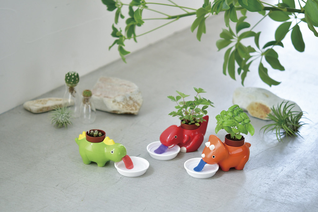 日本 聖新陶芸 Green Zaurus 恐龍水耕植栽種植組 霸王龍 - GiftU 禮尚網